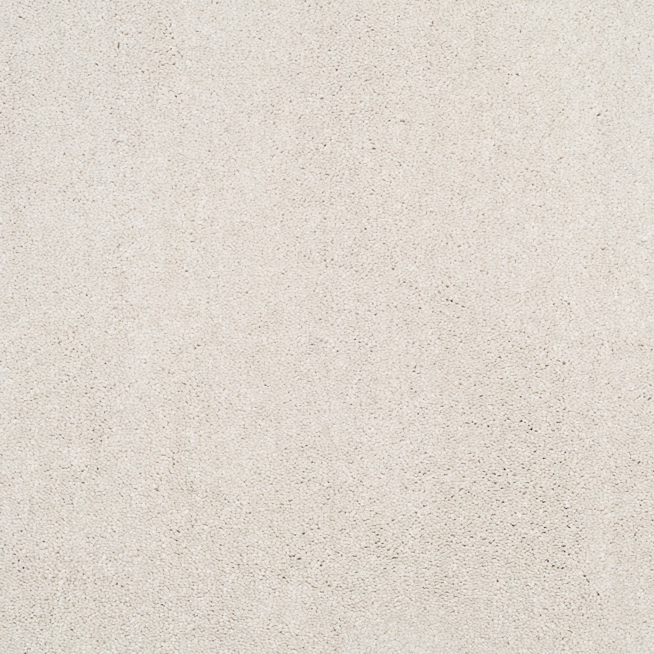 Eclipse Domestic Carpet Range - National Flooring