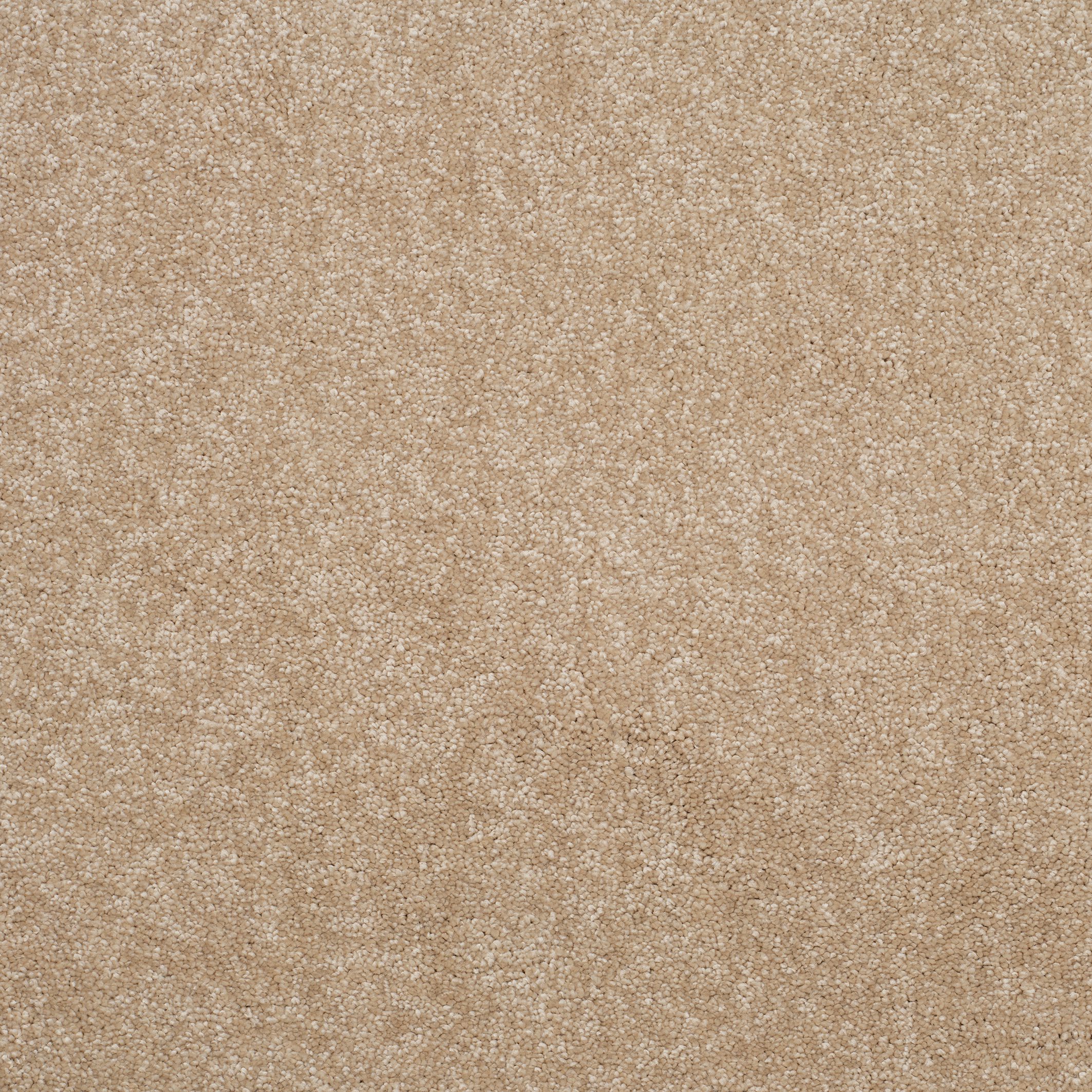 Eclipse Domestic Carpet Range - National Flooring